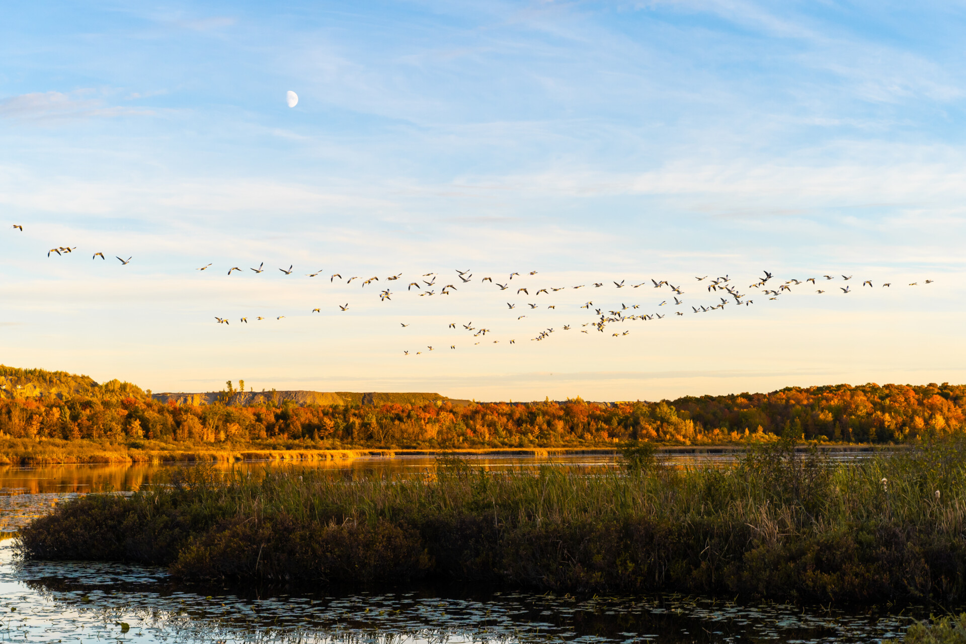 Danville — Estrie - Cantons-de-l'Est
