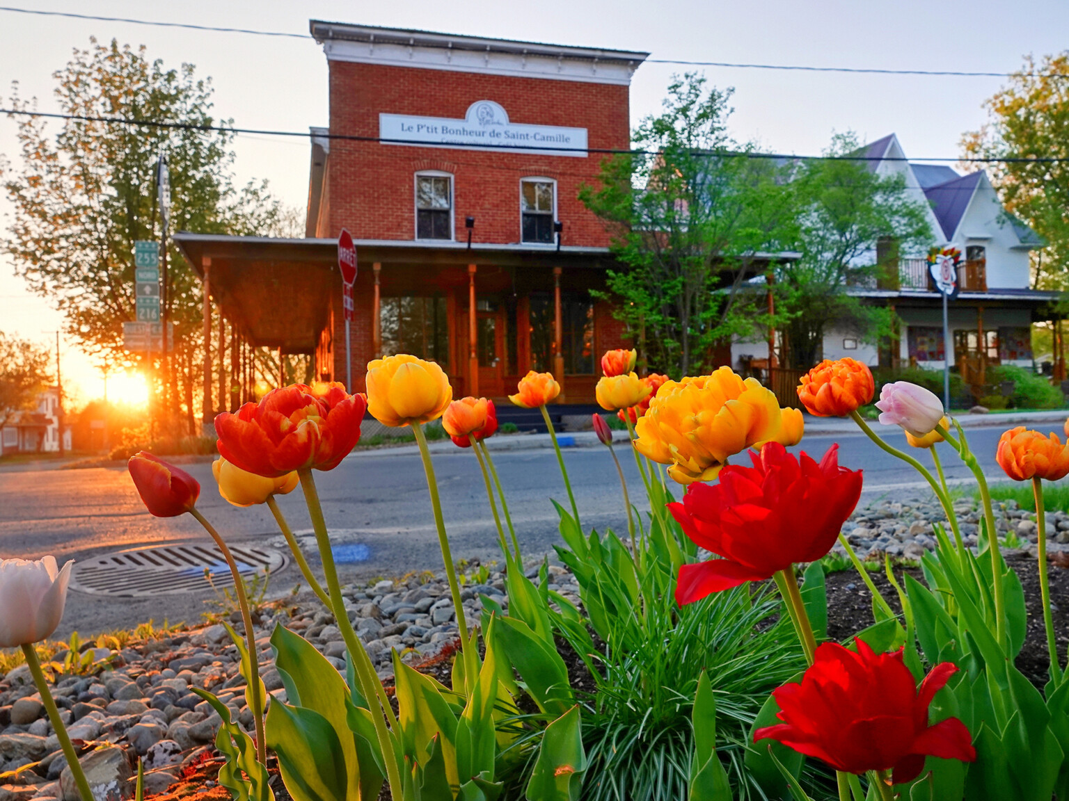 Danville — Estrie - Cantons-de-l'Est