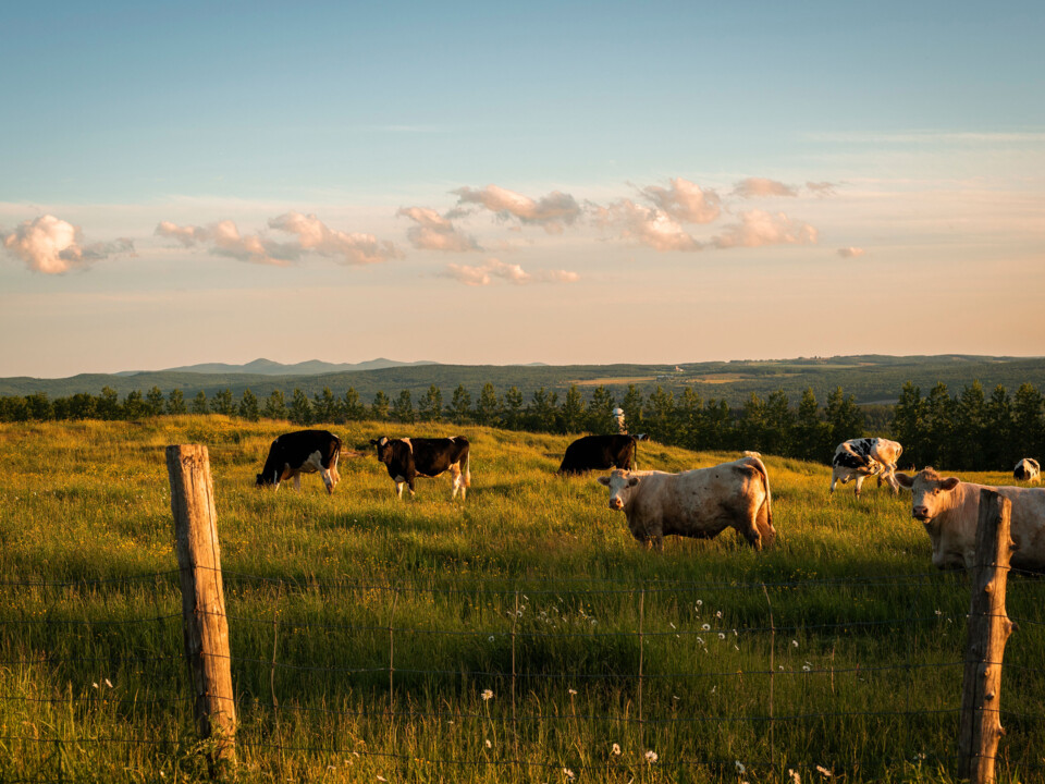 Dudswell — Estrie - Cantons-de-l'Est