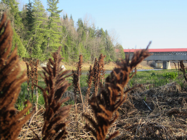 Dudswell — Estrie - Cantons-de-l'Est