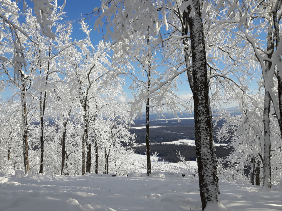 Vivre — Estrie - Cantons-de-l'Est