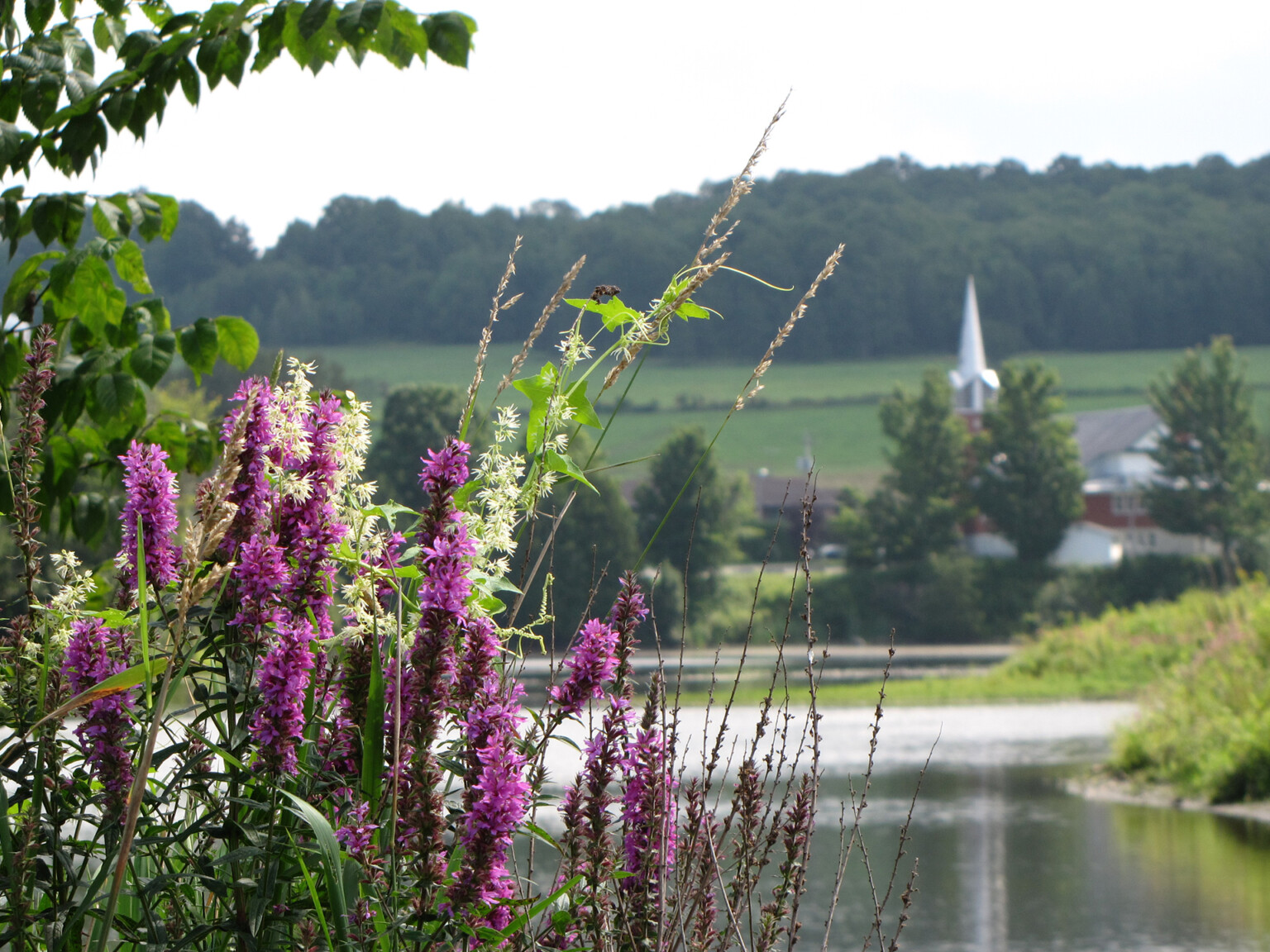 Dudswell — Estrie - Cantons-de-l'Est