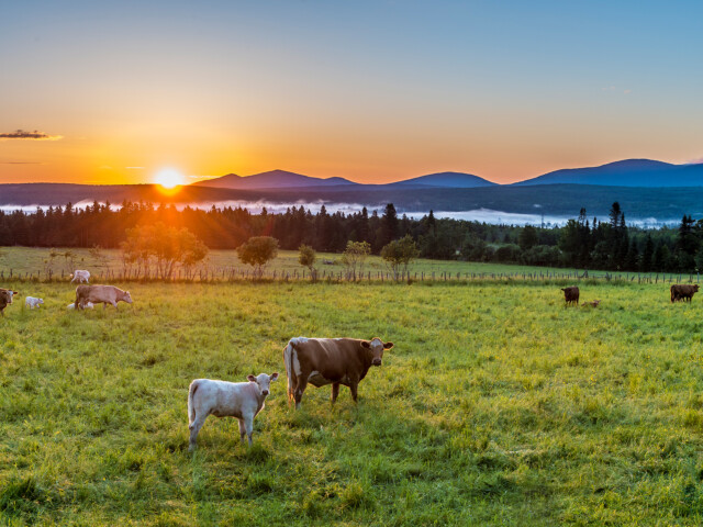 Près de tout. Loin de l'ordinaire. — Estrie - Cantons-de-l'Est