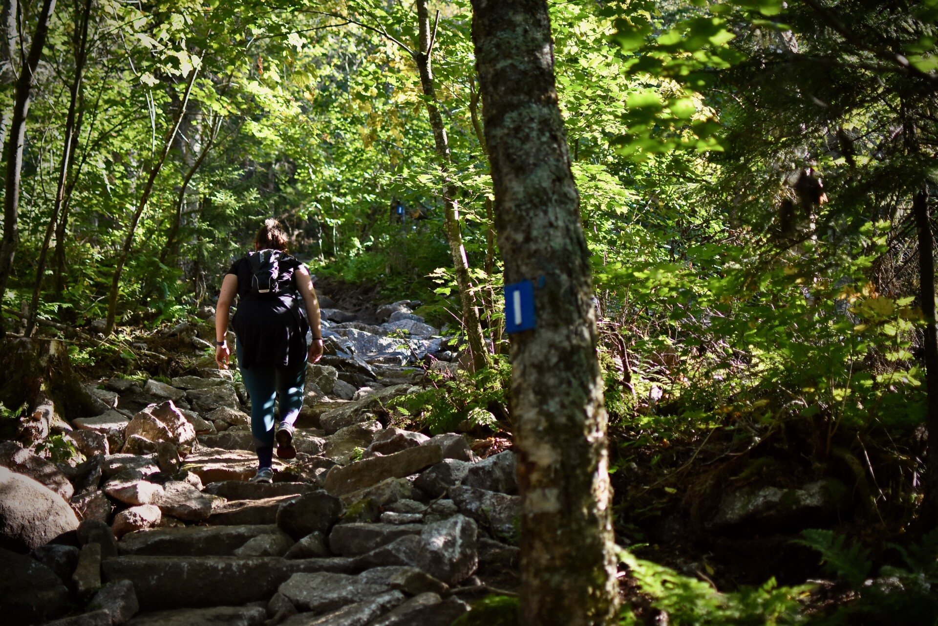 Val-des-Sources — Estrie - Cantons-de-l'Est