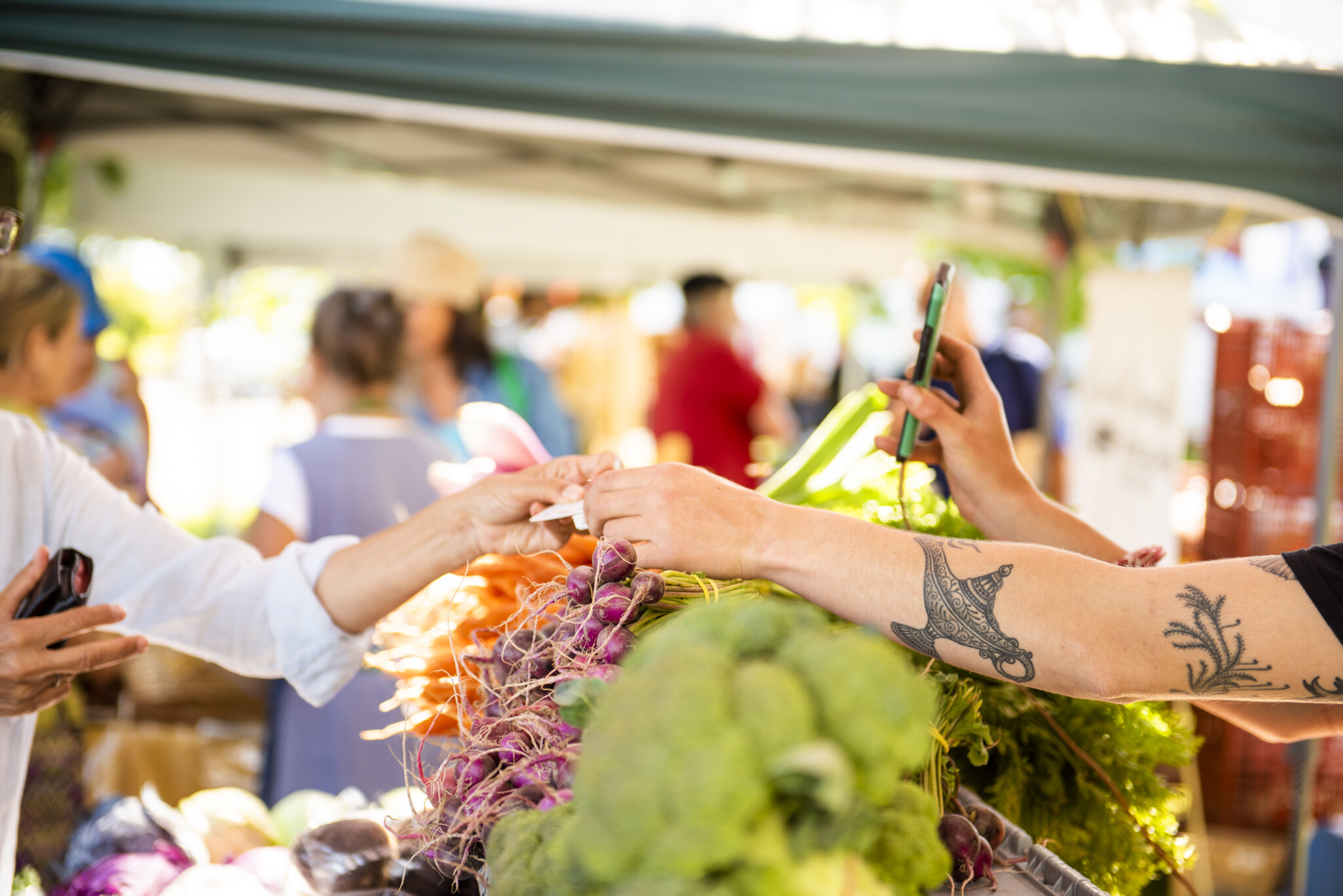 Territoire de la Région des Sources — Estrie - Cantons-de-l'Est
