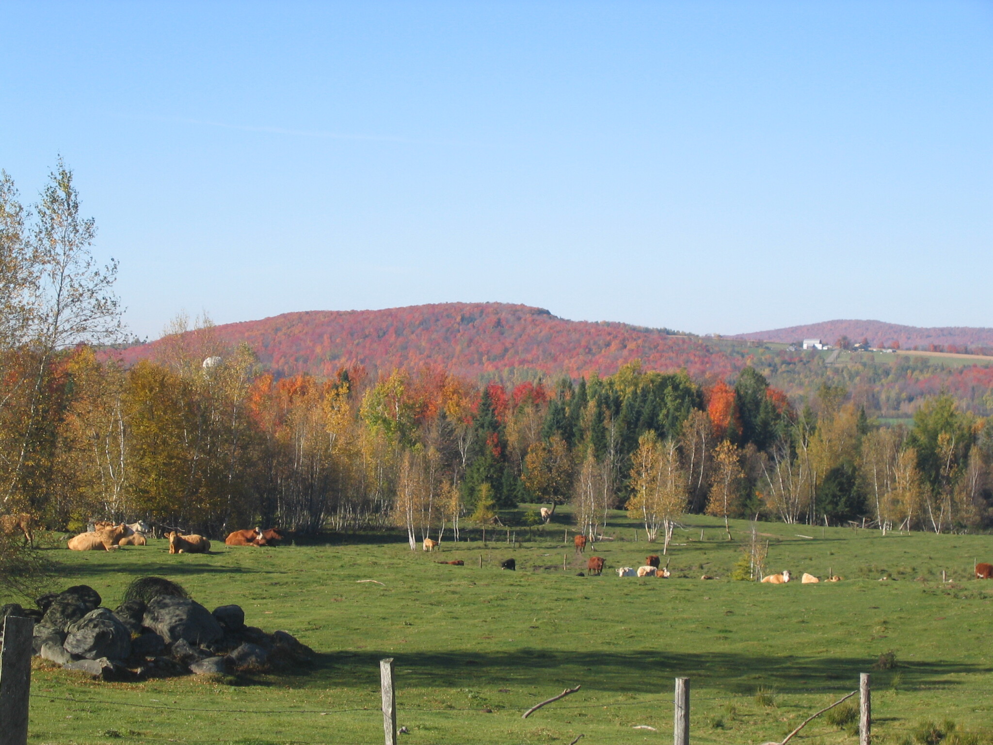 Canton de Valcourt — Estrie - Cantons-de-l'Est